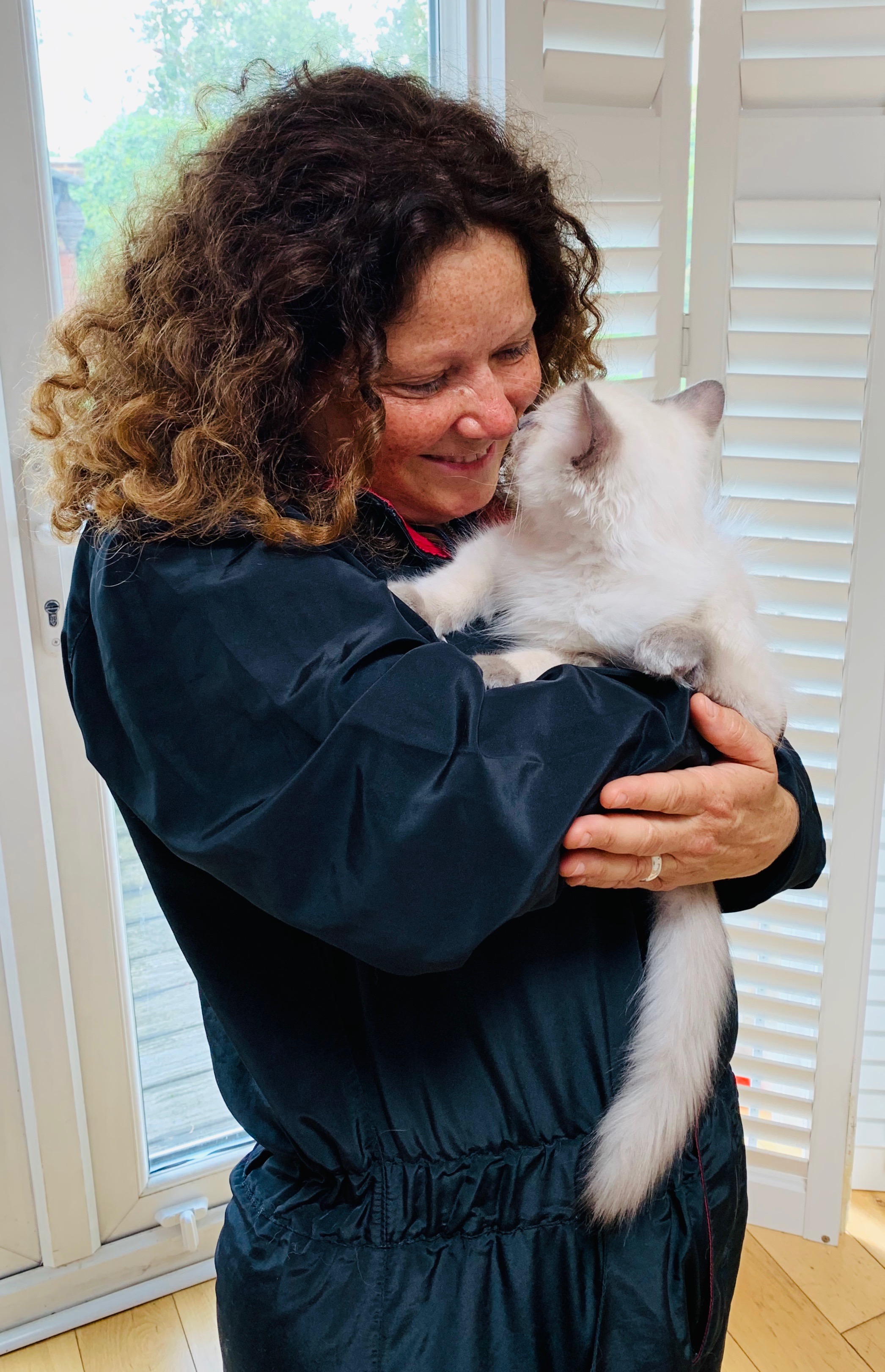 bromley cat behaviour consultation - Anita Kelsey - Cat Behaviourist