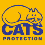 cats protection - Anita Kelsey - Cat Behaviourist