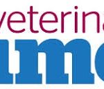 vet times - Anita Kelsey - Cat Behaviourist